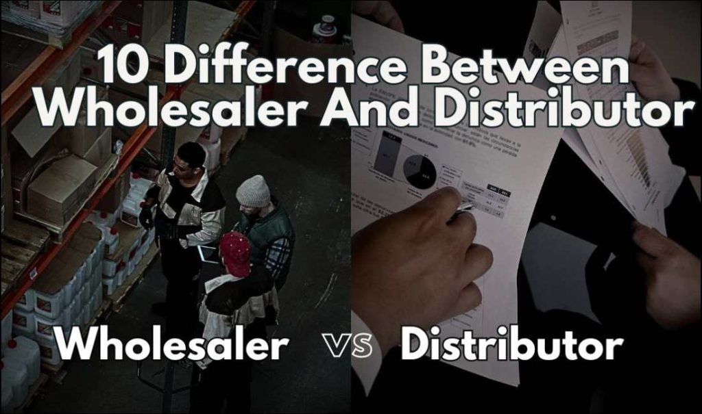 Wholesaler Vs Distributor: Top 10 Differences